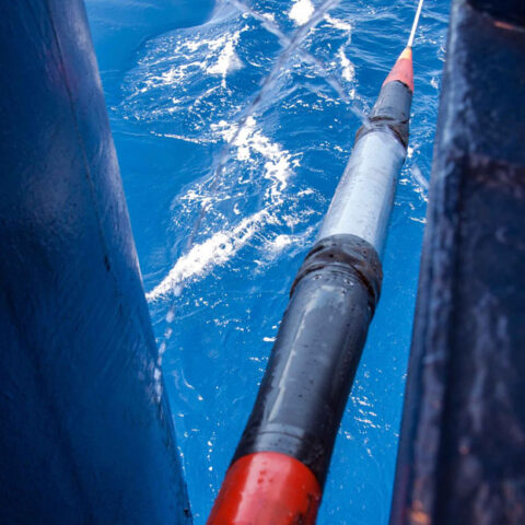 Xtera Products - Deep sea cables - Xtera
